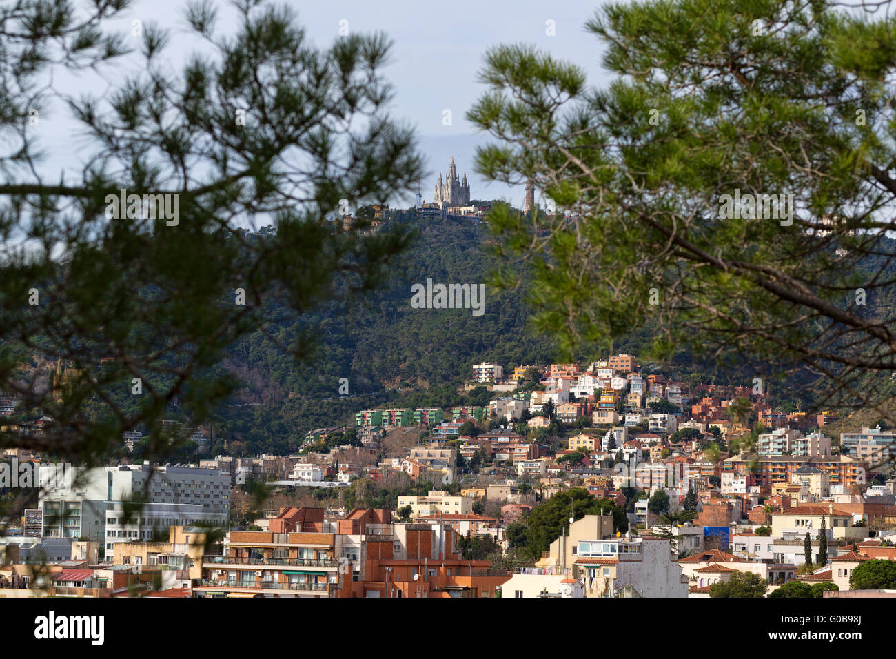 View of Mount Tibidabo through the branches of pine trees Stock Photo ...