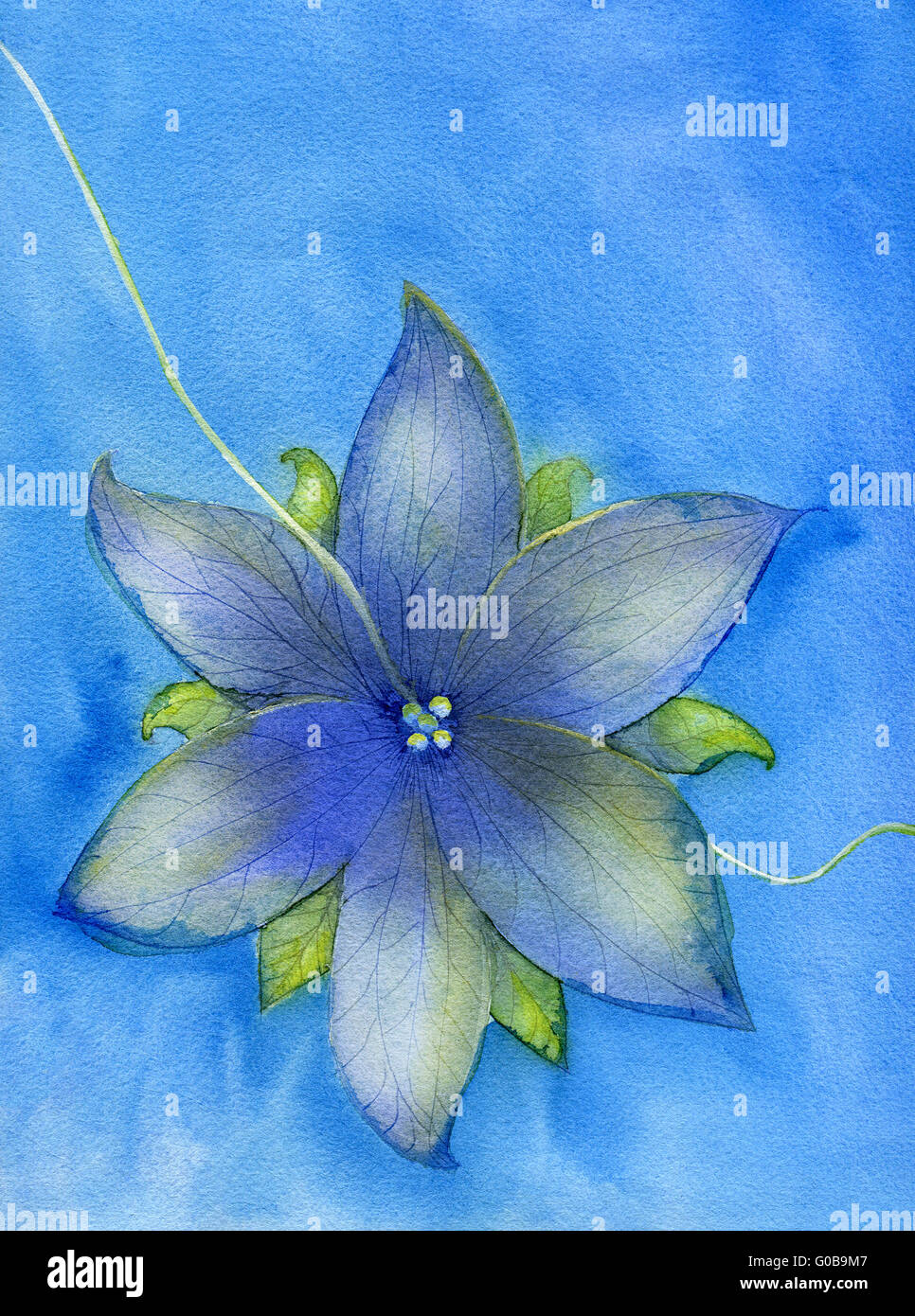 Blue flower on a string abstract watercolor painti Stock Photo - Alamy
