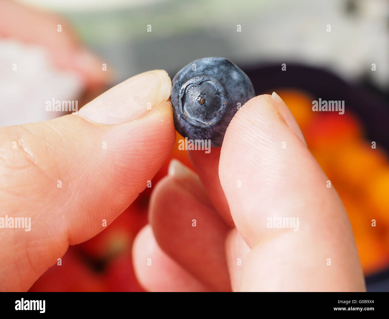 Blueberry held between fingers Stock Photo - Alamy