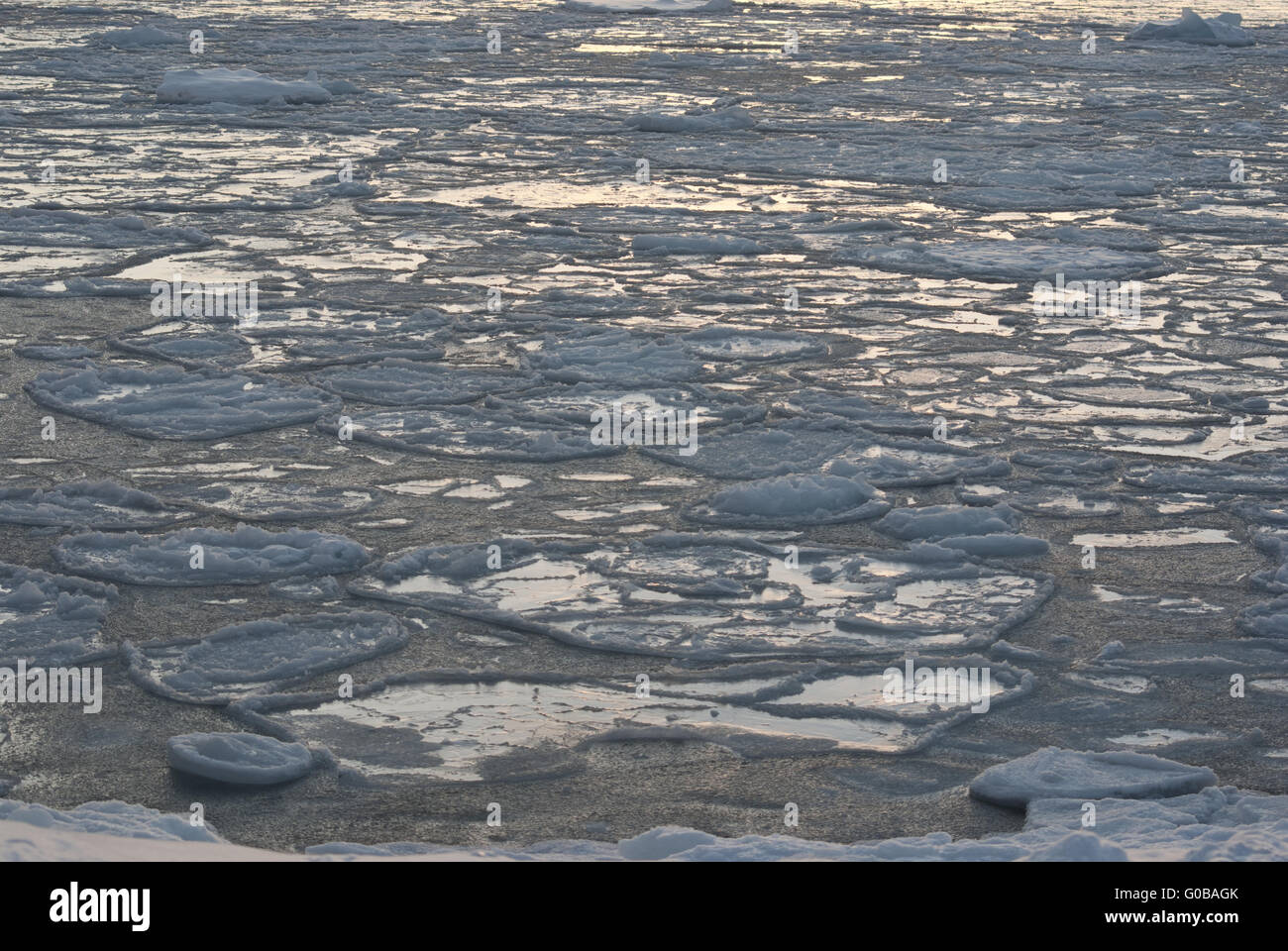 Ice field in the waters of Antarctica Stock Photo - Alamy