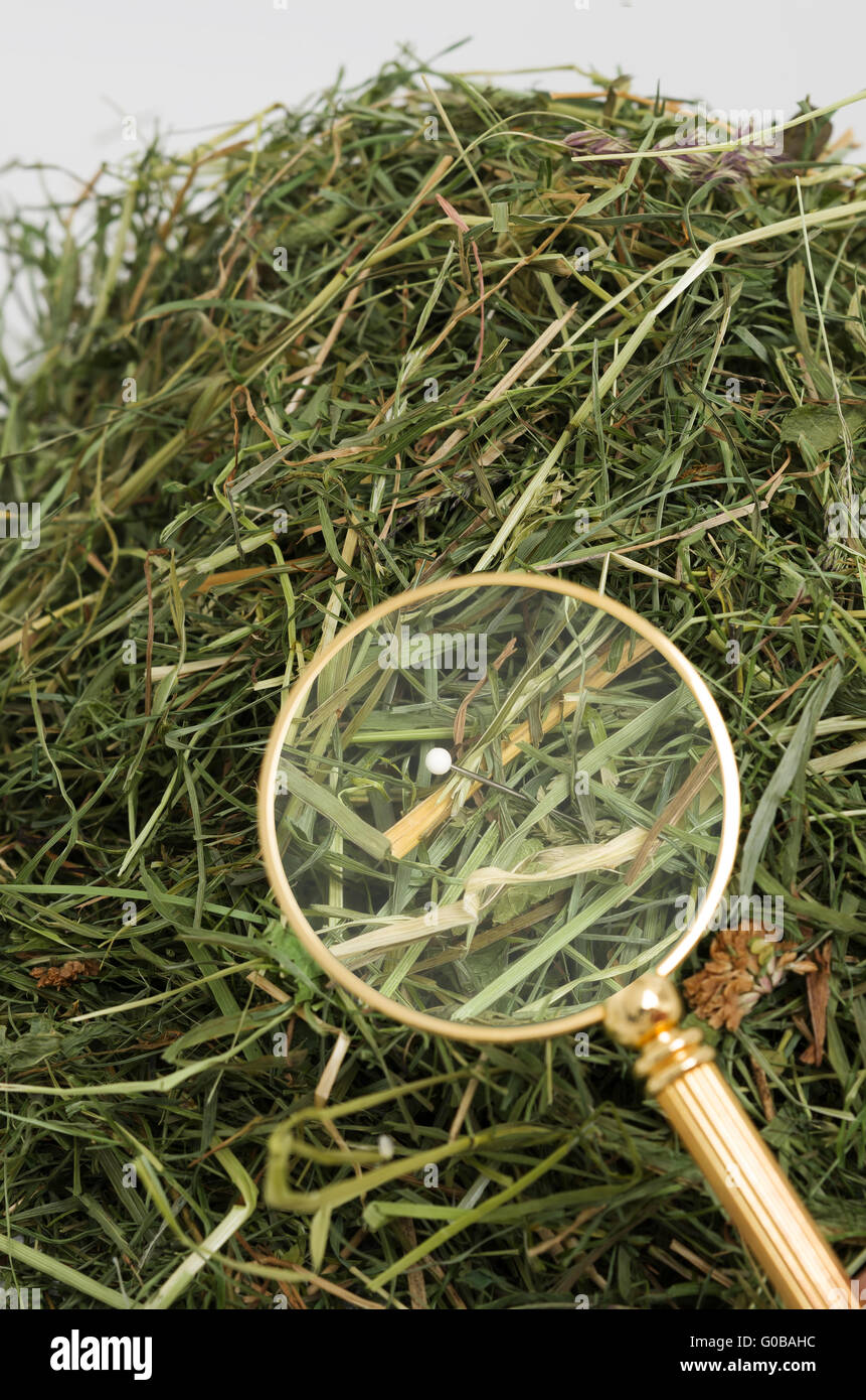 A Needle In A Haystack High Resolution Stock Photography and Images - Alamy