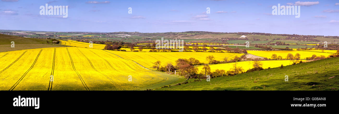 A panorame view of the Hertfordshire and Bedfordshire countryside in ...