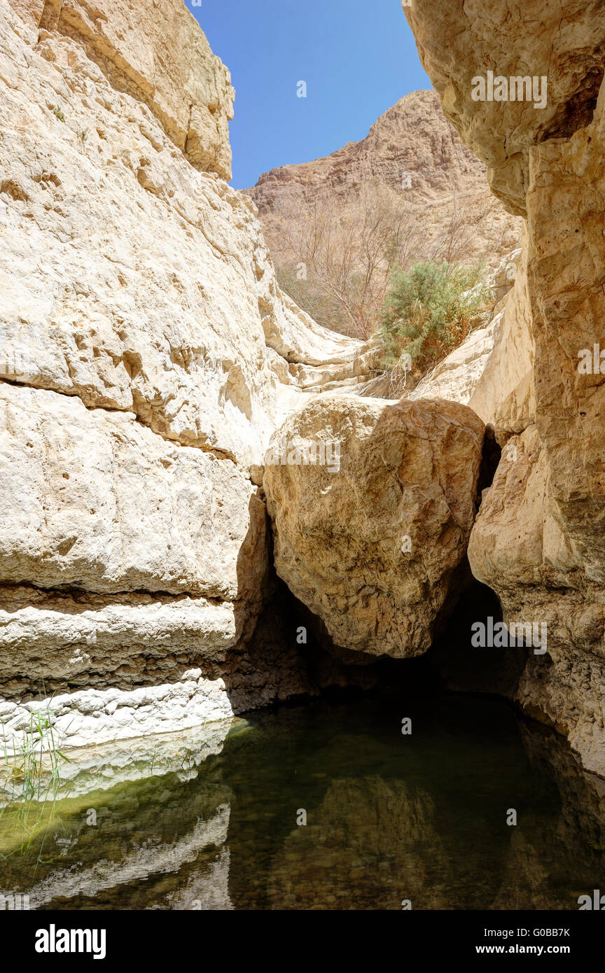 Wadi water park hi-res stock photography and images - Alamy