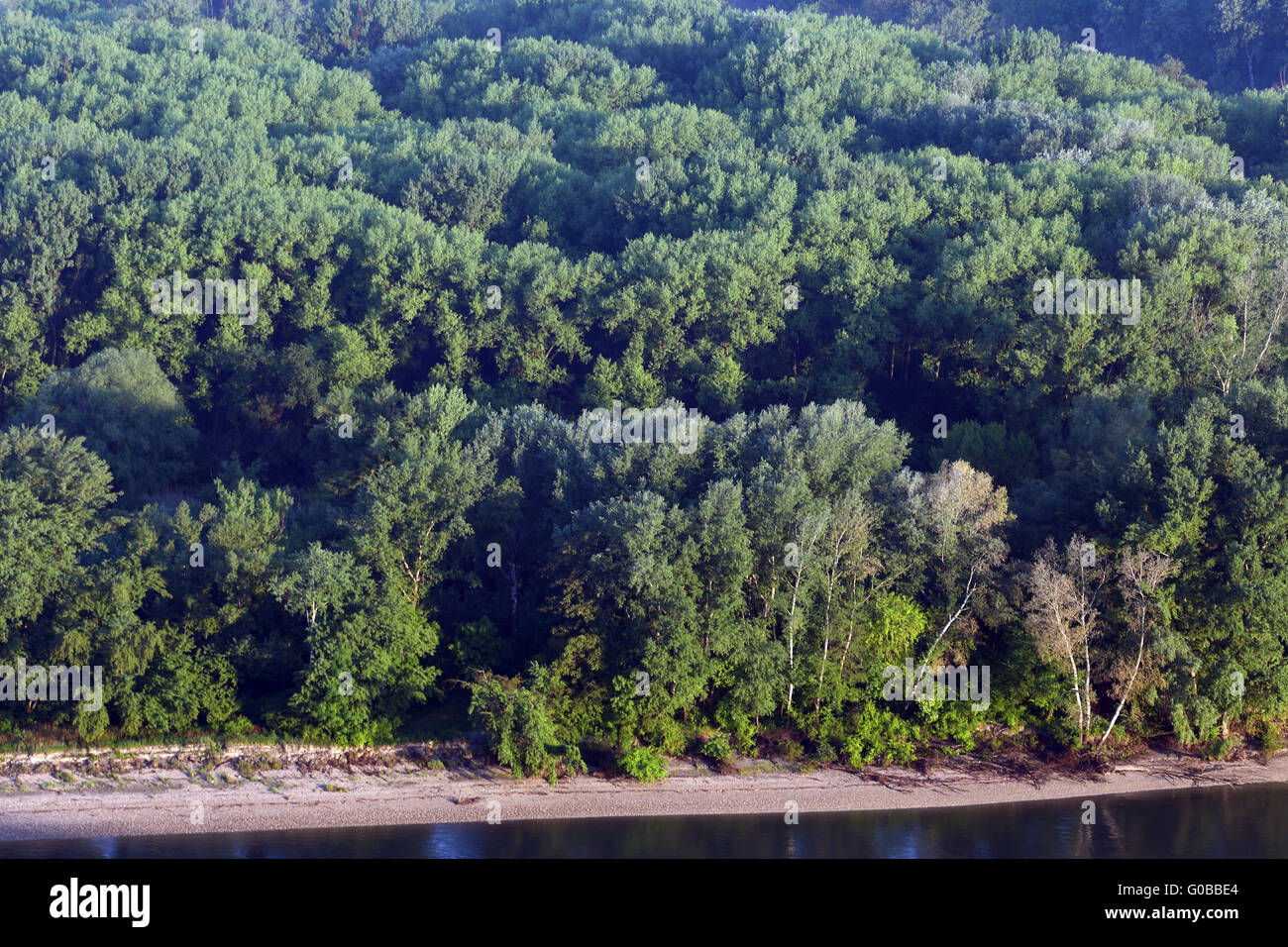 Danube Floodplain Forest National Park, Austria Stock Photo - Alamy