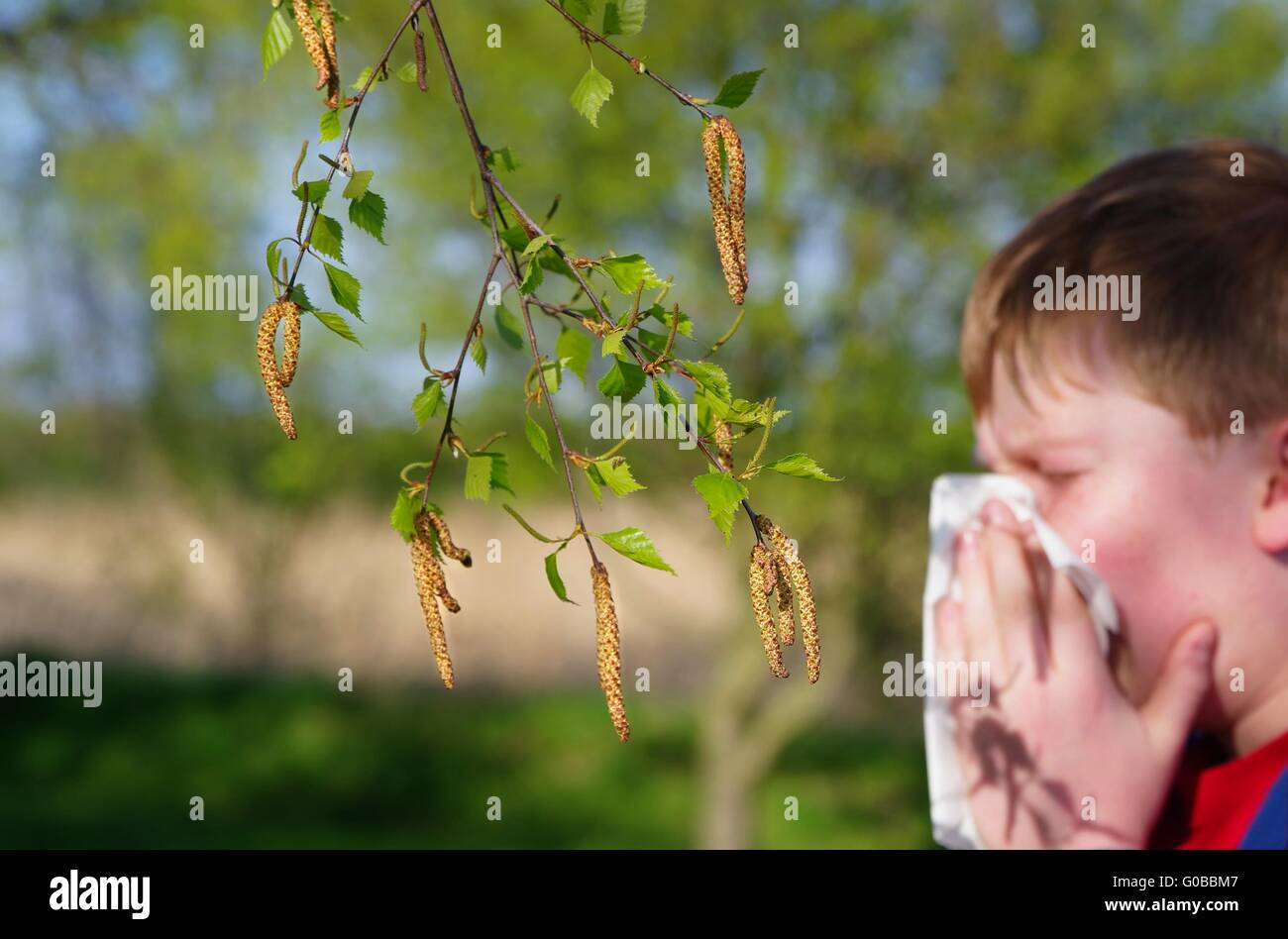 Hay fever sneeze hi-res stock photography and images - Alamy