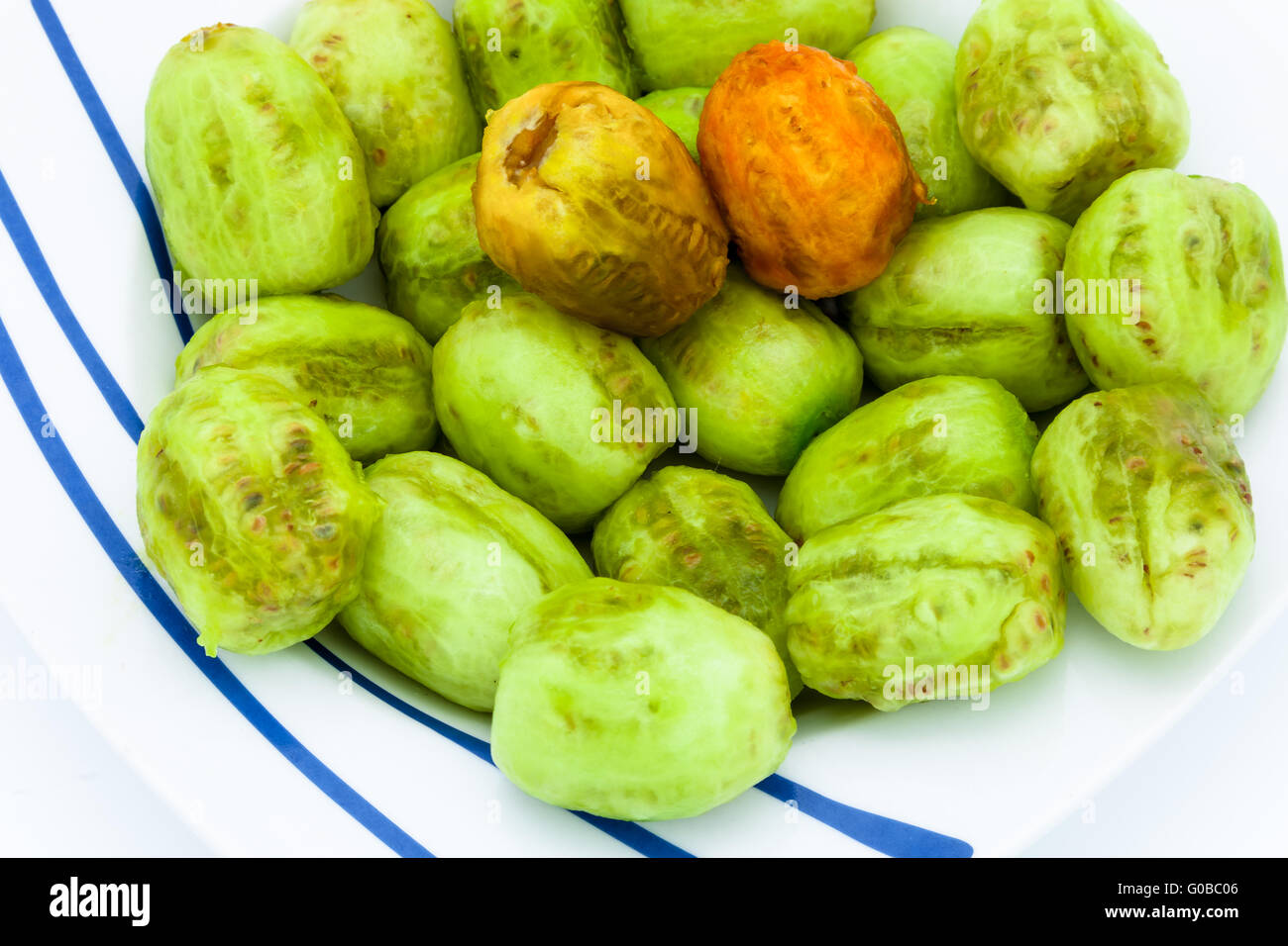 Half cactus hi-res stock photography and images - Alamy