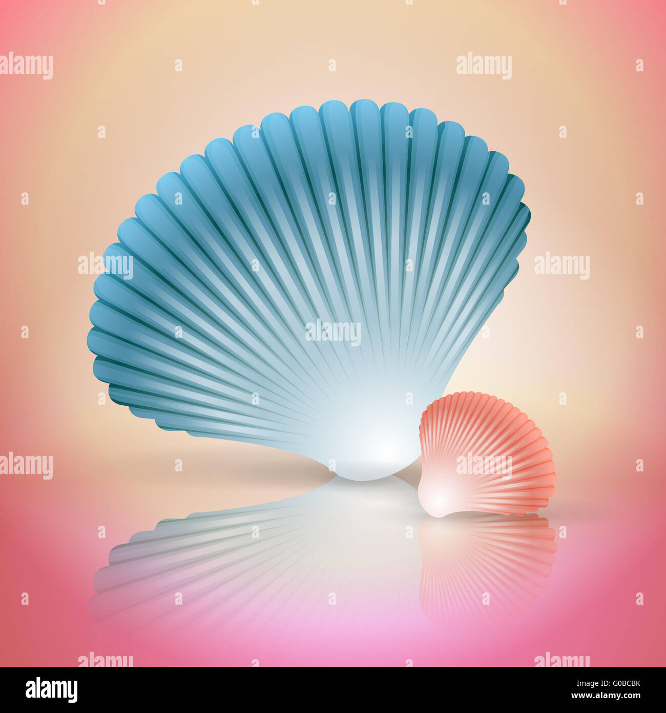 big and small seashells Stock Photo - Alamy