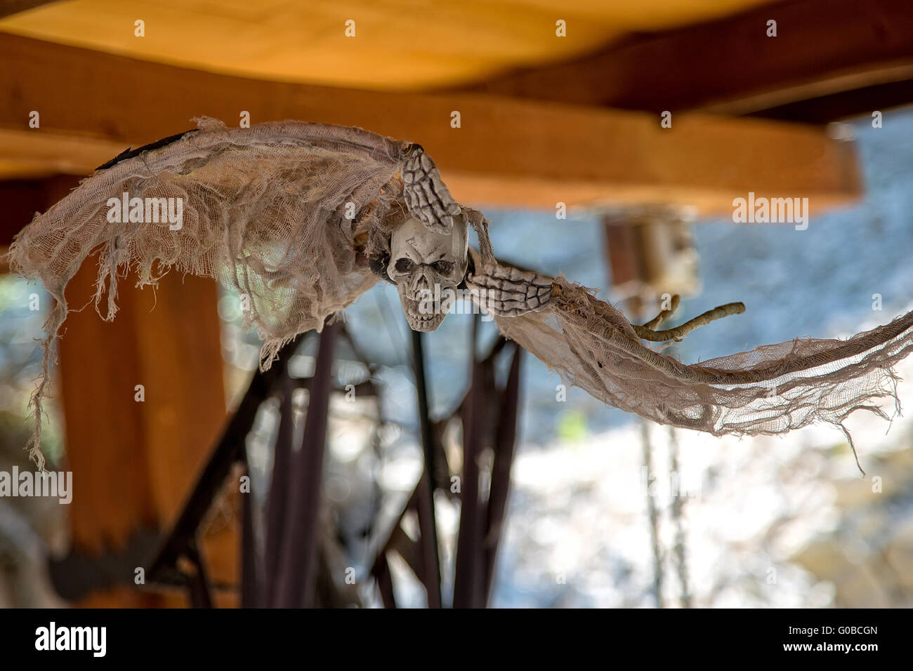 Flying skull, Halloween scenery Stock Photo - Alamy