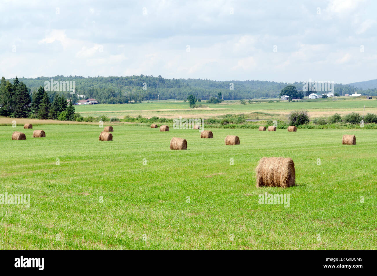 Farm land ground hi-res stock photography and images - Alamy