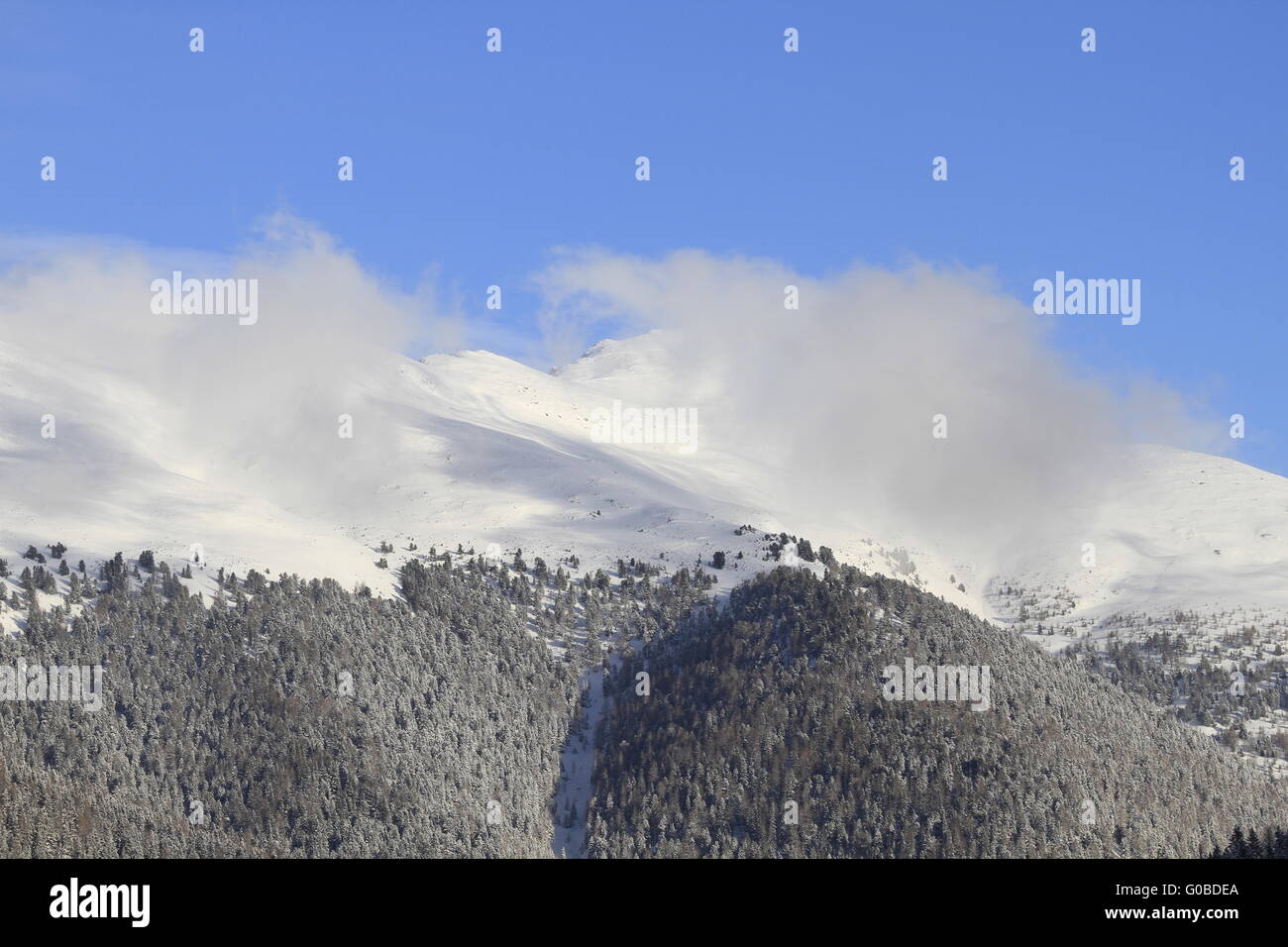 View at timberline hi-res stock photography and images - Alamy