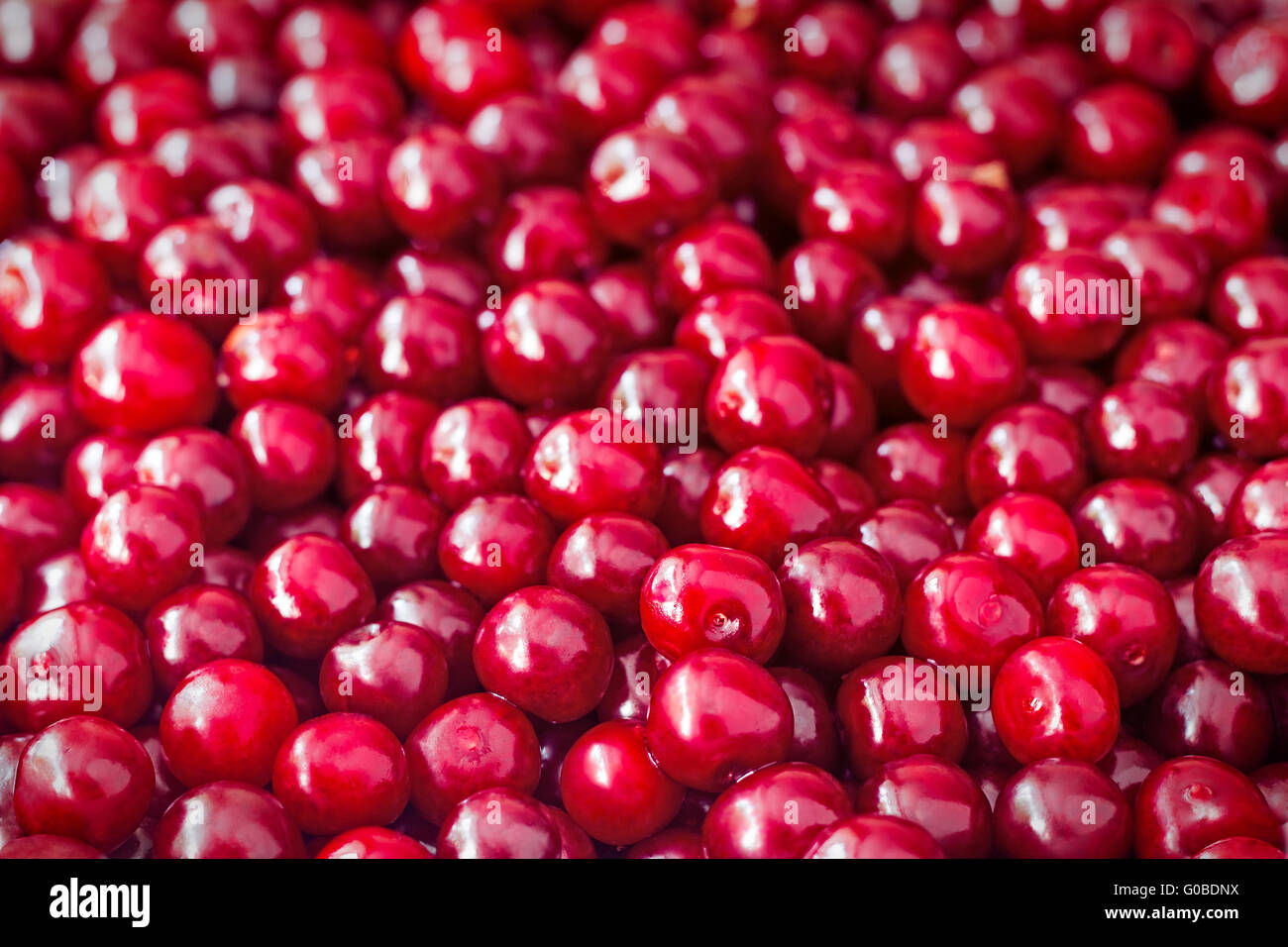 Large ripe fruits of cherry (the background image Stock Photo - Alamy