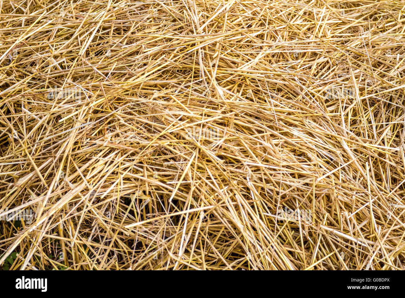 Hayrick hi-res stock photography and images - Alamy