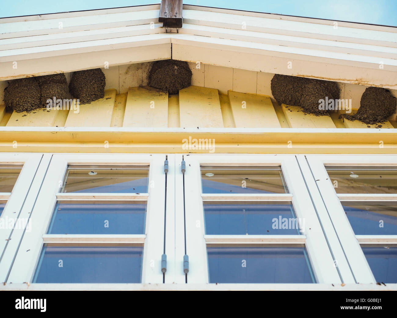 Common house-martin birds nest Stock Photo - Alamy