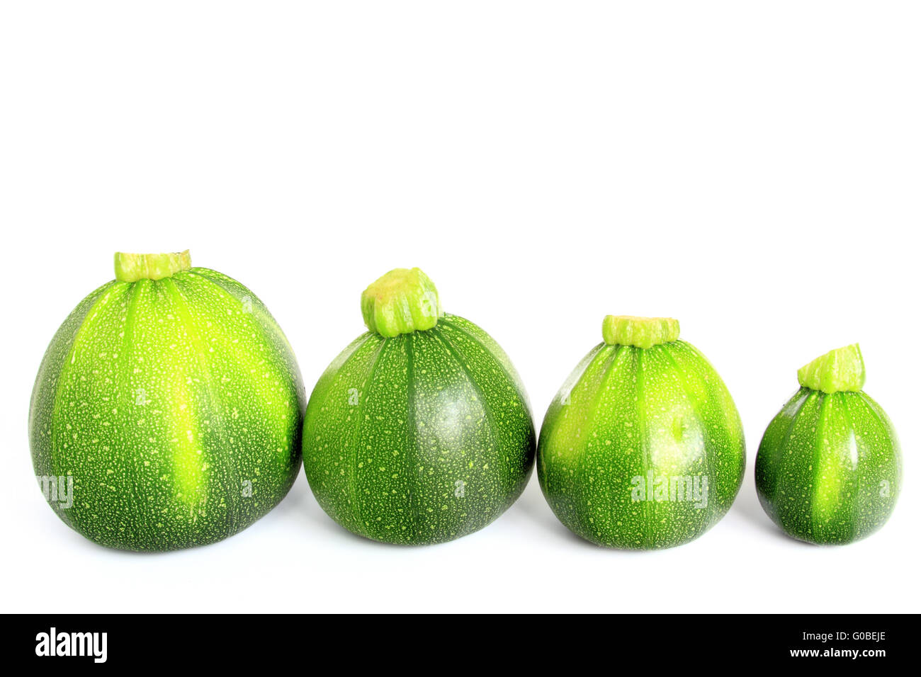 Round courgette zucchini cucurbita Cut Out Stock Images & Pictures - Alamy