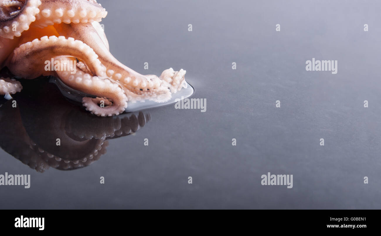 Octopus on black background Stock Photo - Alamy