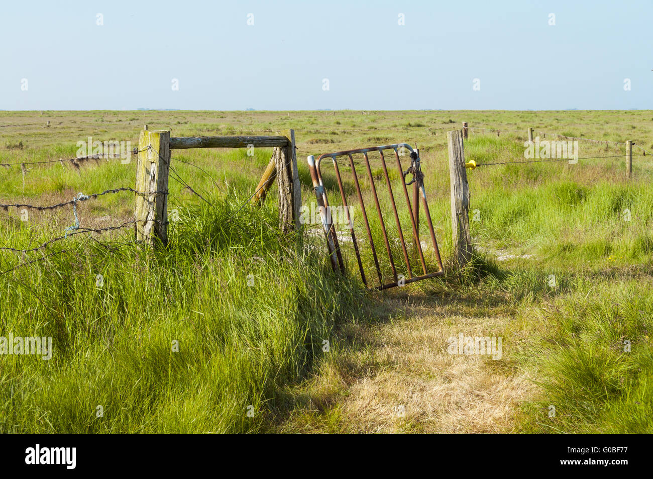 Hallig islands hi-res stock photography and images - Alamy