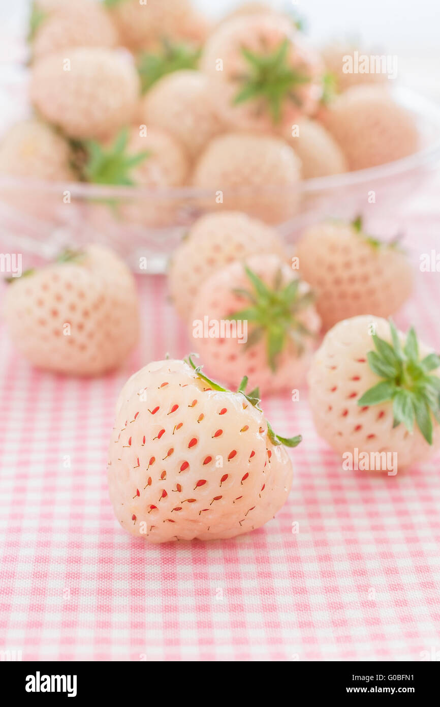 Pineberry Seeds
