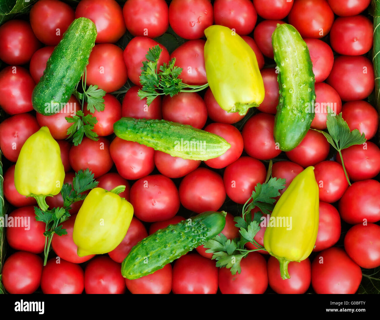 Mature tomatoes of bright red color of the small s Stock Photo - Alamy