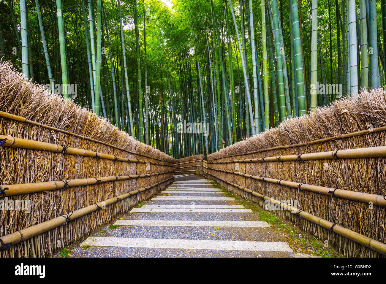 Path to bamboo forest, Arashiyama, Kyoto, Japan Stock Photo - Alamy