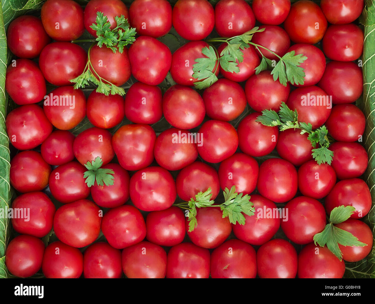 Ripe tomatoes of bright red color of the small siz Stock Photo - Alamy