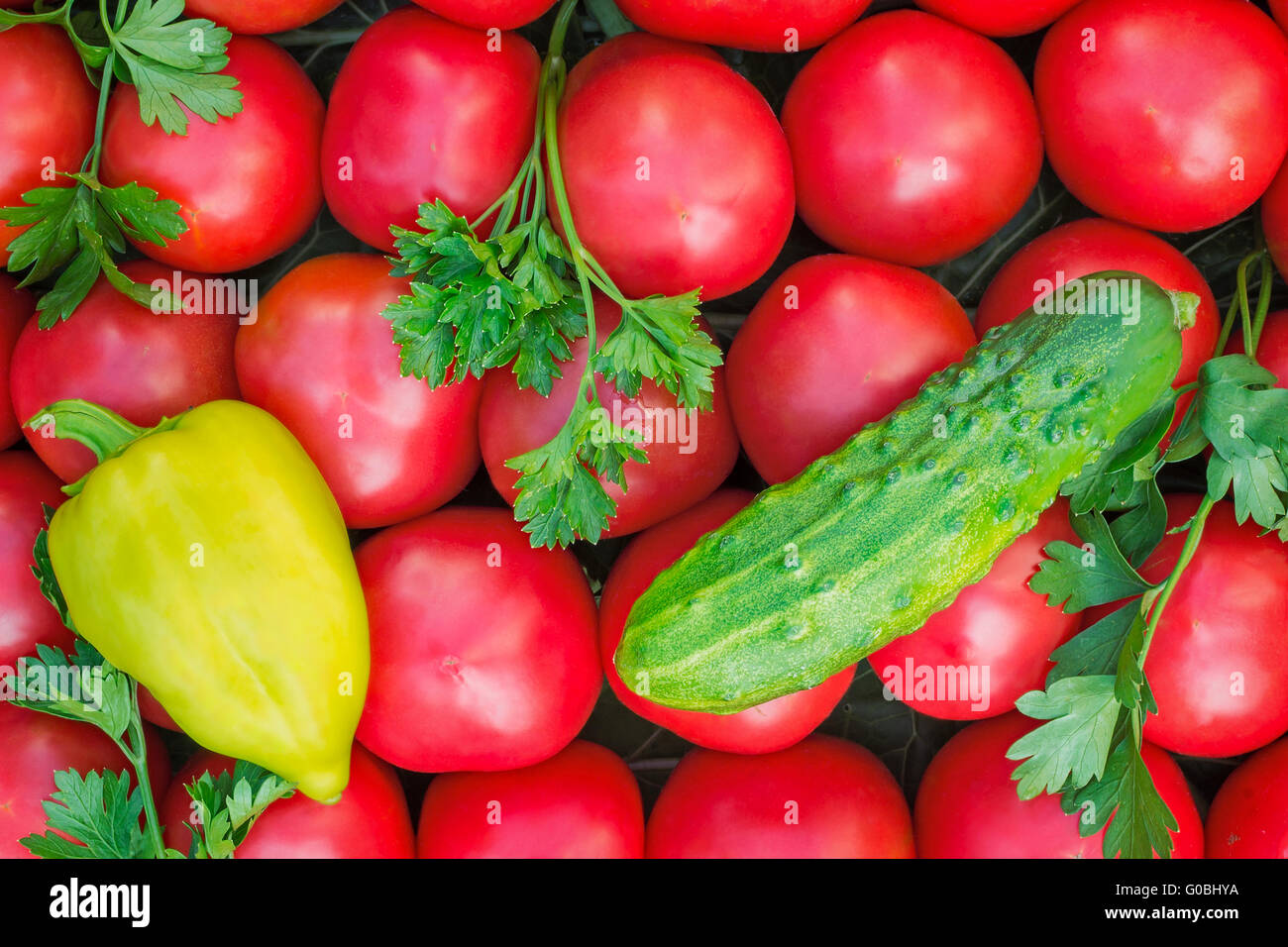 Mature tomatoes of bright red color of the small s Stock Photo - Alamy