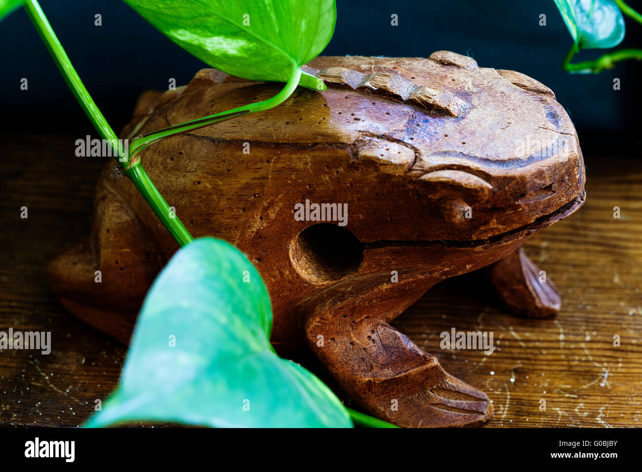 Wooden Rhythm Instrument Amid Green Leaves On Shelf Stock Photo - Alamy