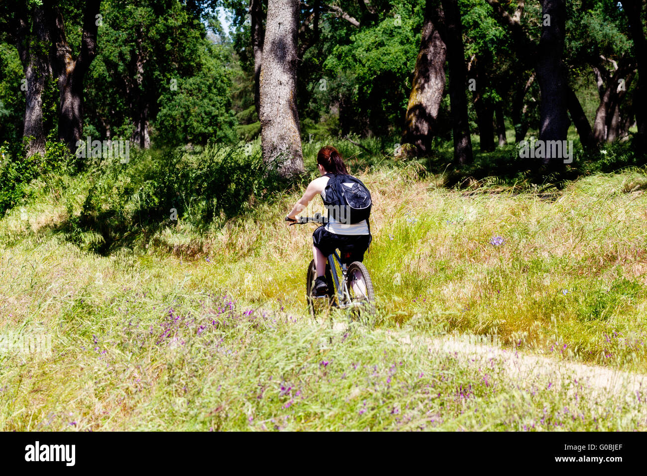 Back Of Young Woman Riding Bike On Trail Stock Photo - Alamy
