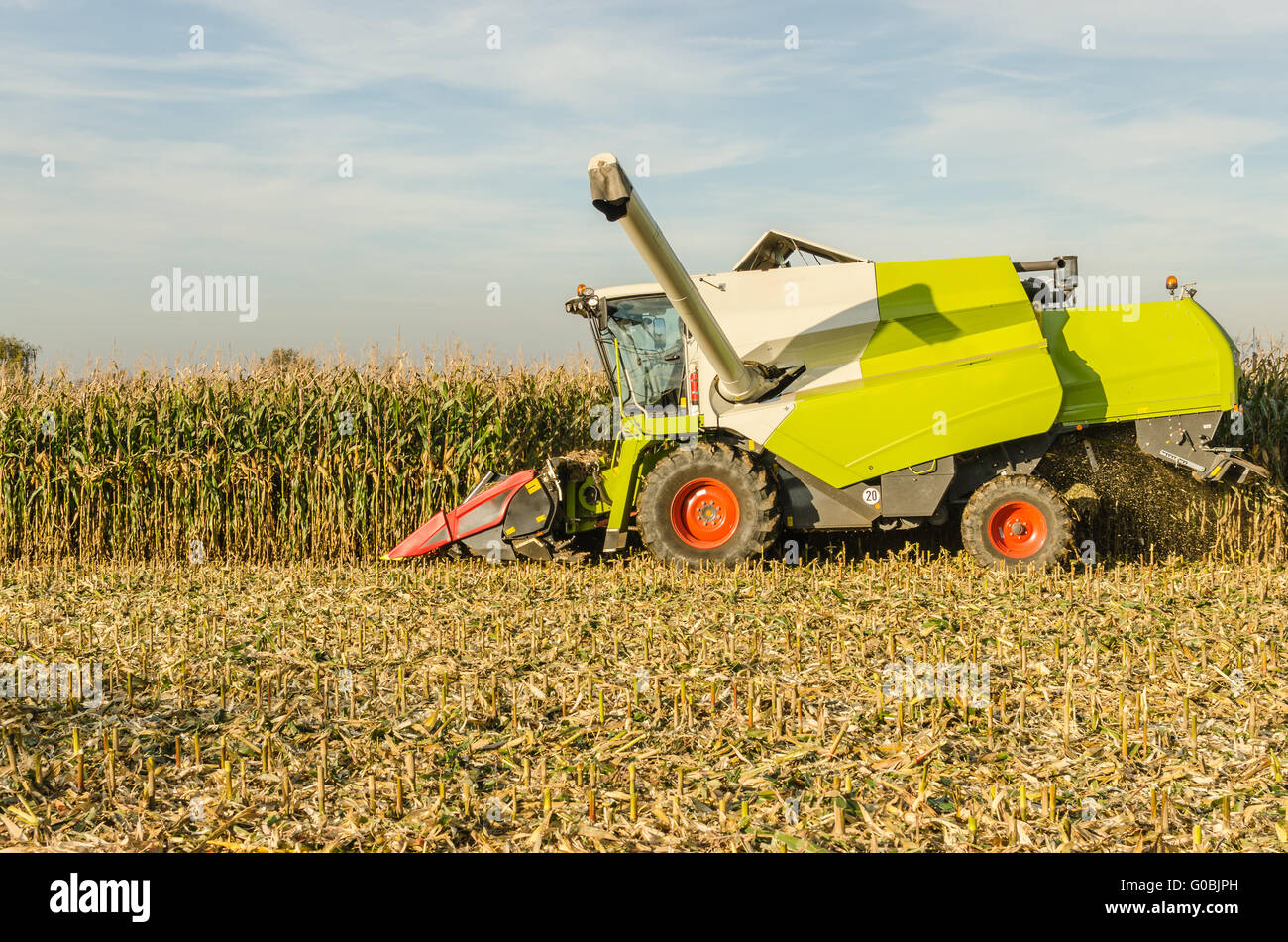 Combine harvester harvesting maize Stock Photo - Alamy