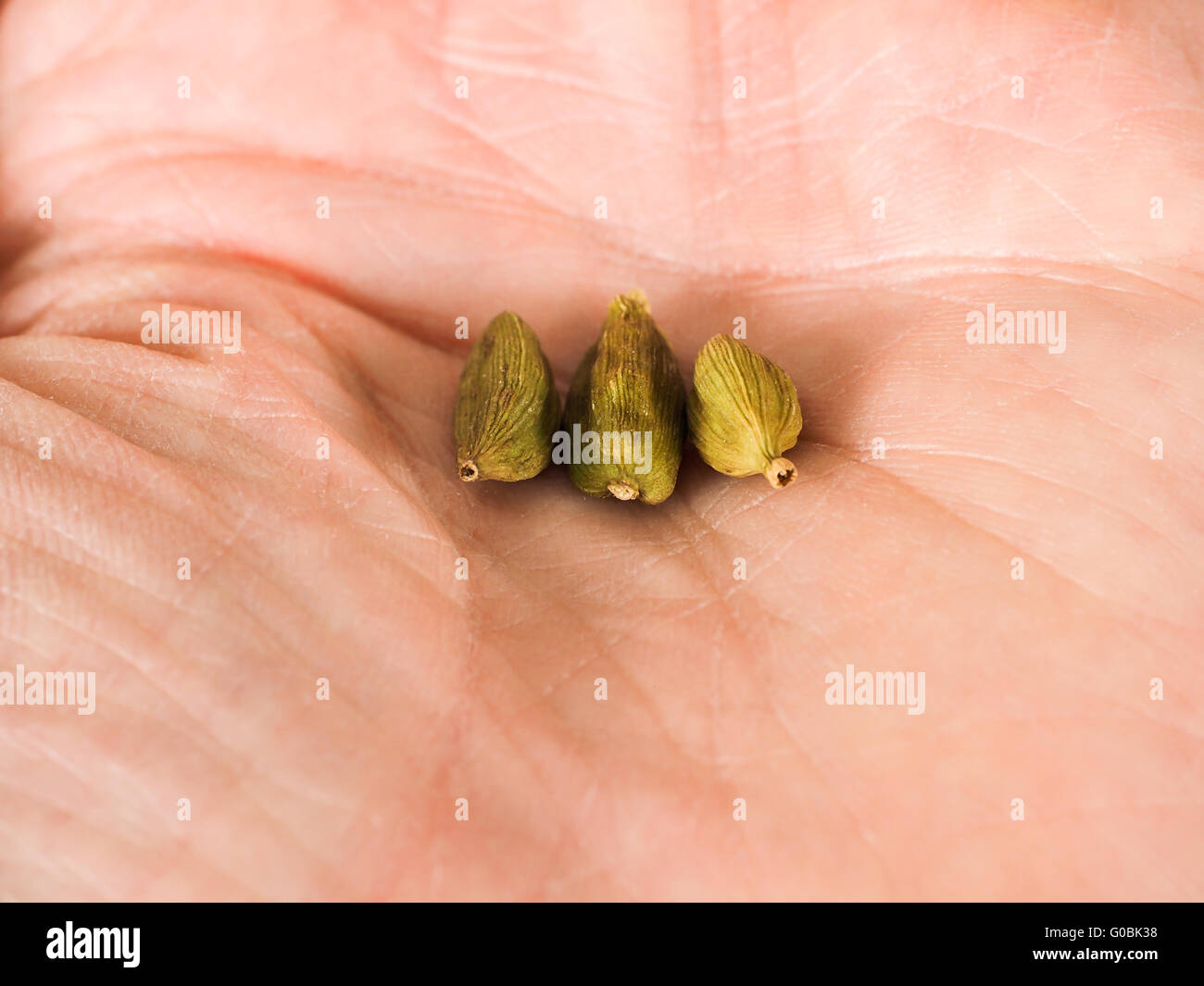 Pods palm hi-res stock photography and images - Alamy