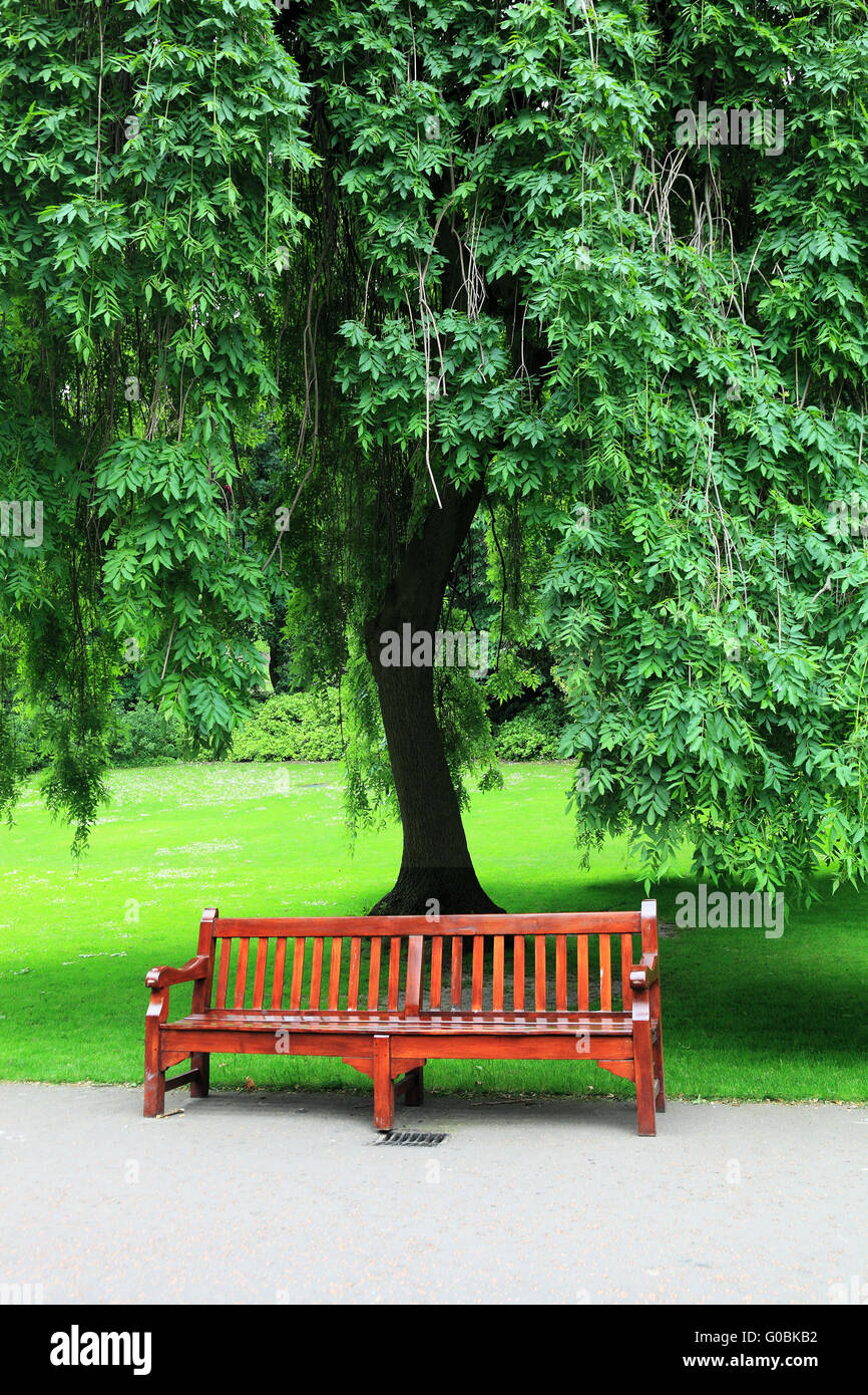 Sole leaf hi-res stock photography and images - Alamy