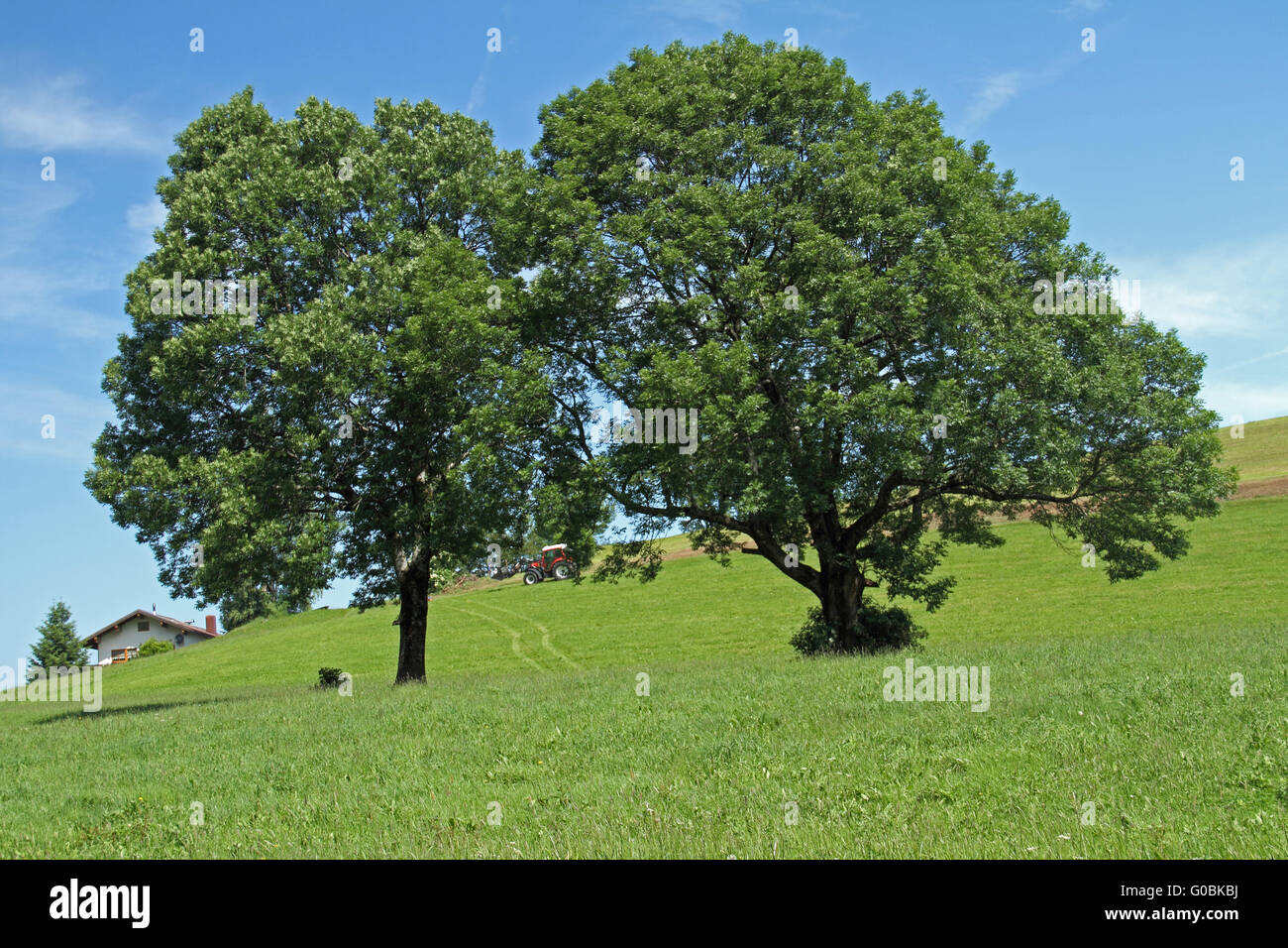 Landschaft germany couple hi-res stock photography and images - Alamy
