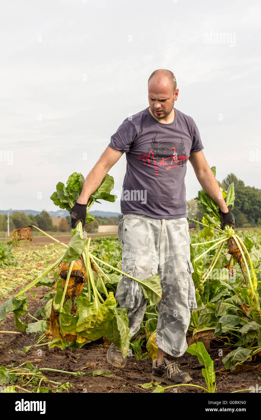 young farmer 01 Stock Photo - Alamy