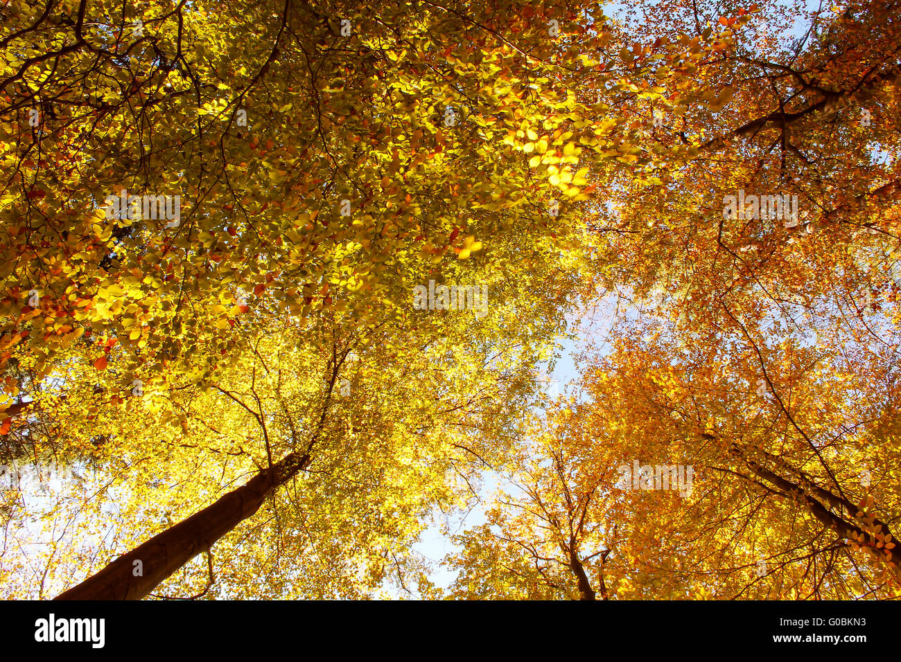 Atmospheric moments hi-res stock photography and images - Alamy