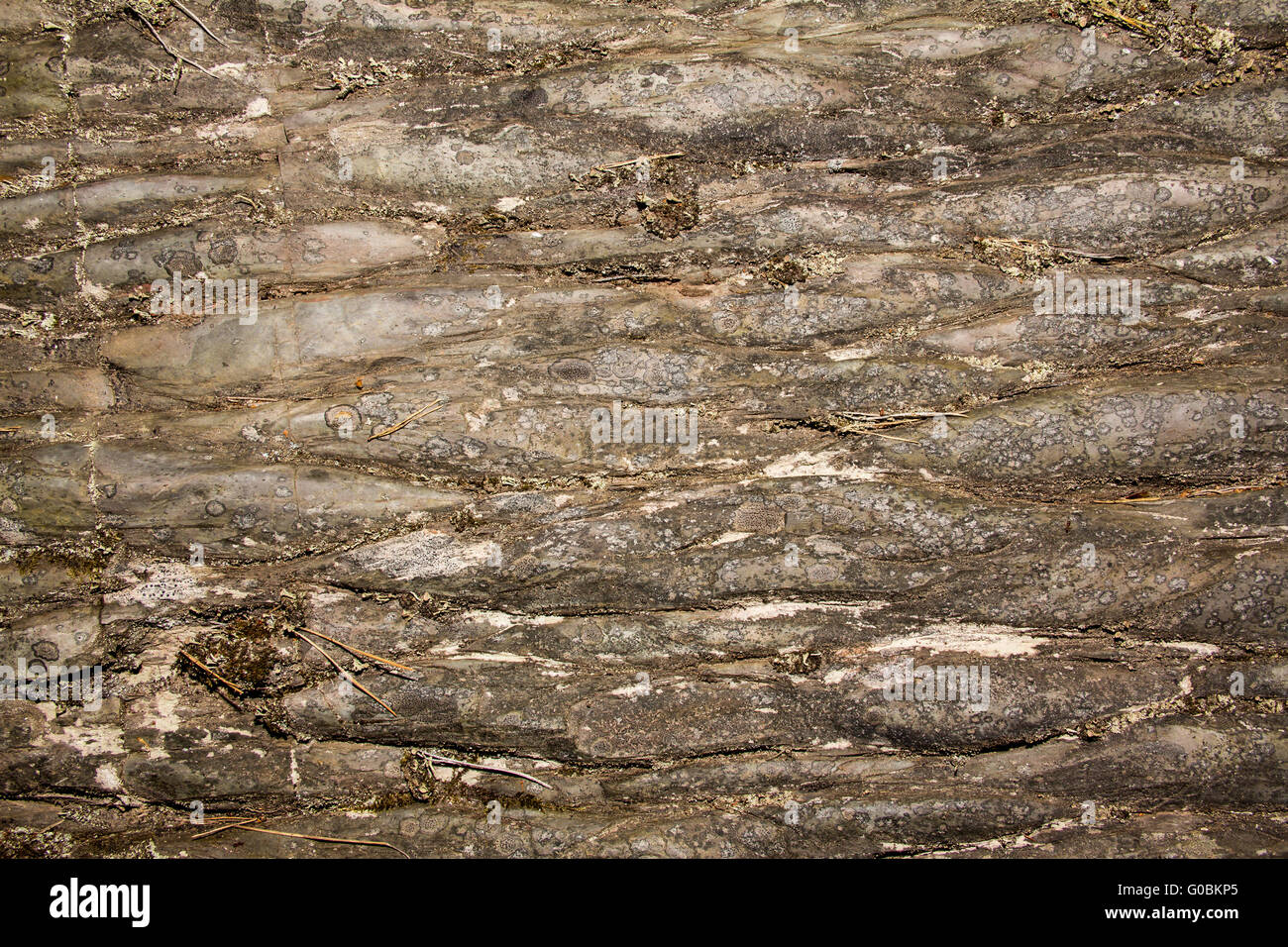 Stone masonry texture hi-res stock photography and images - Alamy