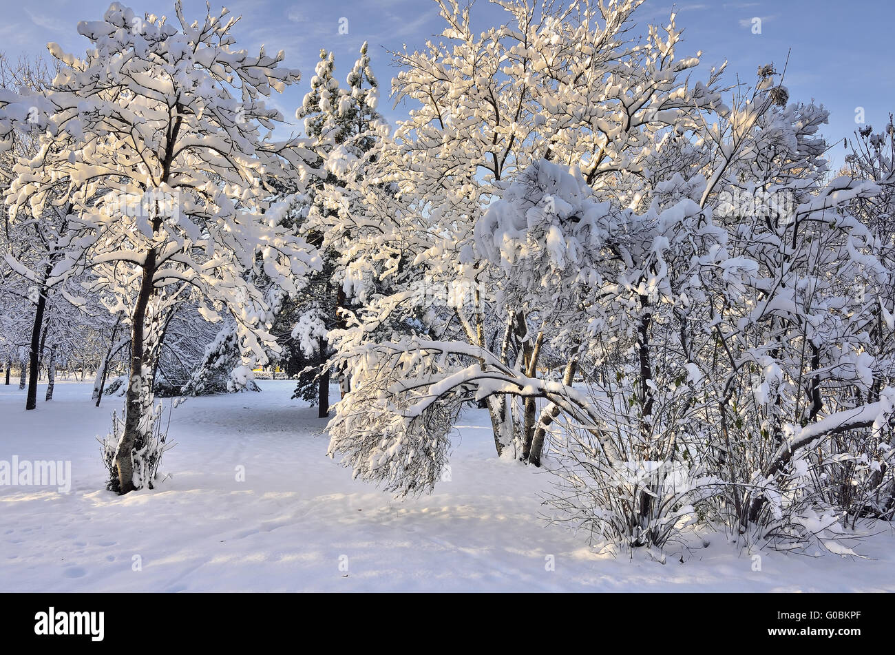 Beautiful winter landscape Stock Photo - Alamy