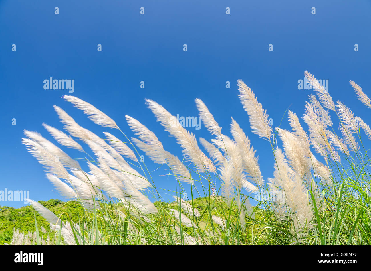 Spring valley wind farm hi-res stock photography and images - Alamy