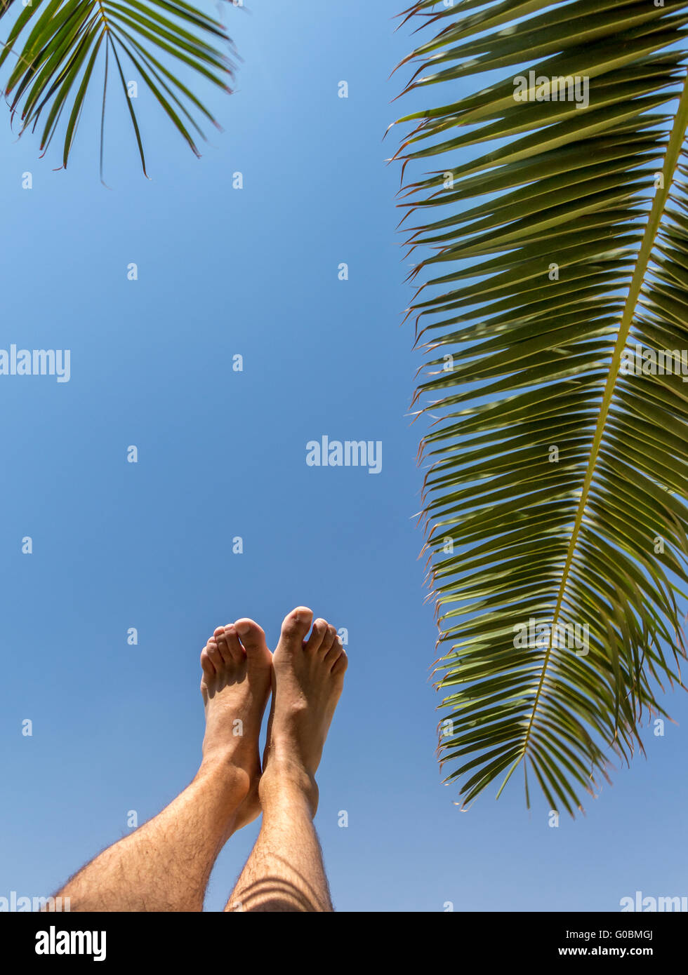 Chillax hi-res stock photography and images - Alamy