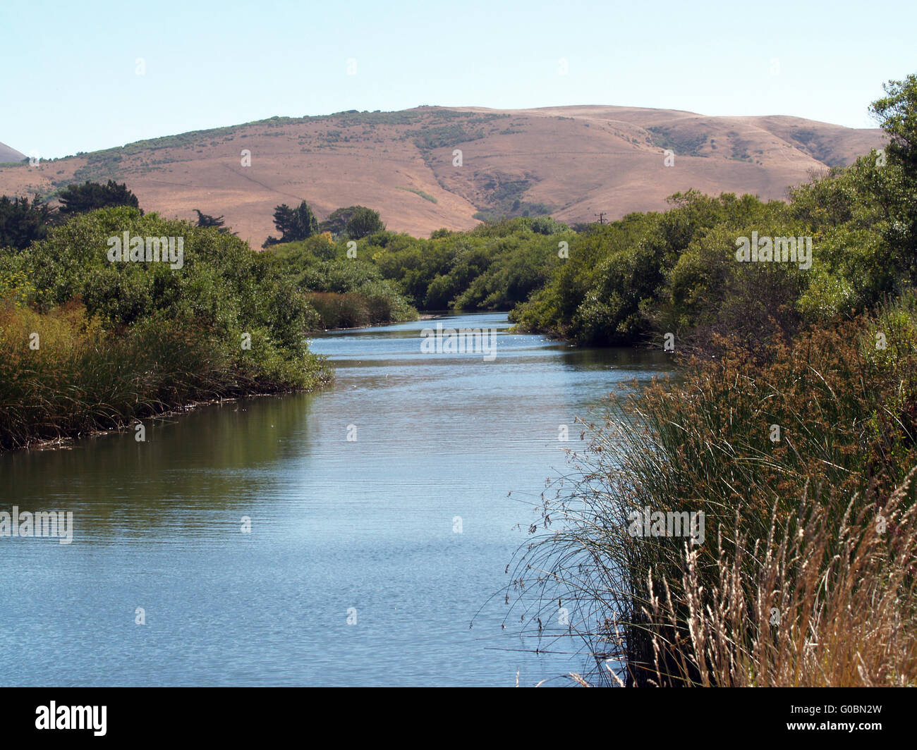 slough of water amid grass and trees with hills and blue sky Stock ...