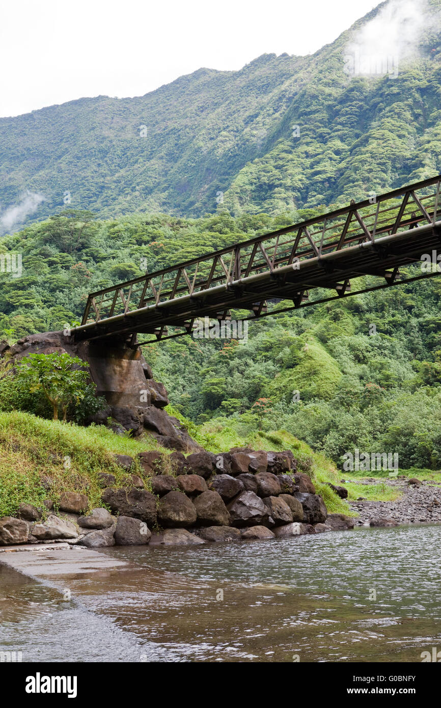Tahiti. The bridge through the river in mountains Stock Photo - Alamy