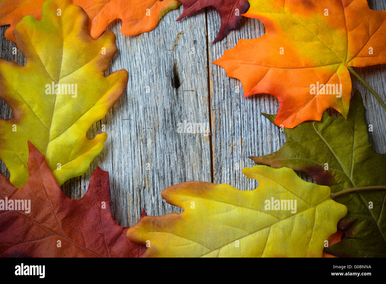 Fall Leaves on a Rustic Wood Background in the Shape of a Frame Stock ...