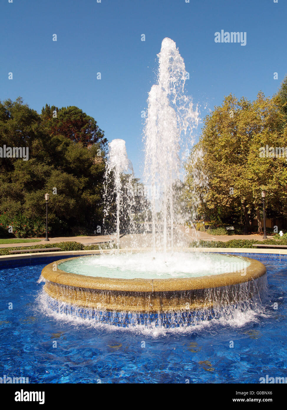 Fountain spray water flowing in pool with trees Stock Photo - Alamy