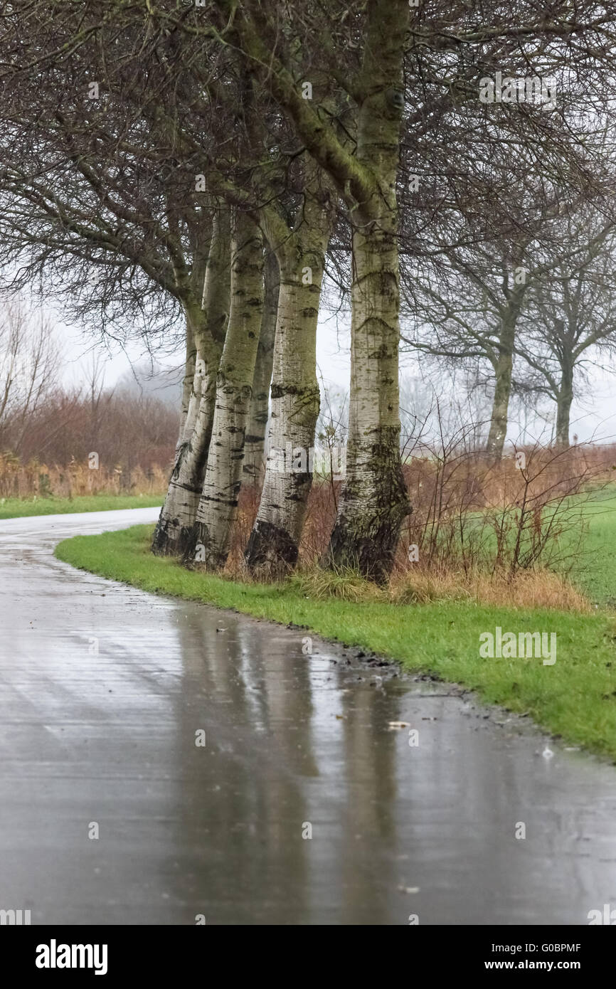 Autumn road in the rain Stock Photo - Alamy