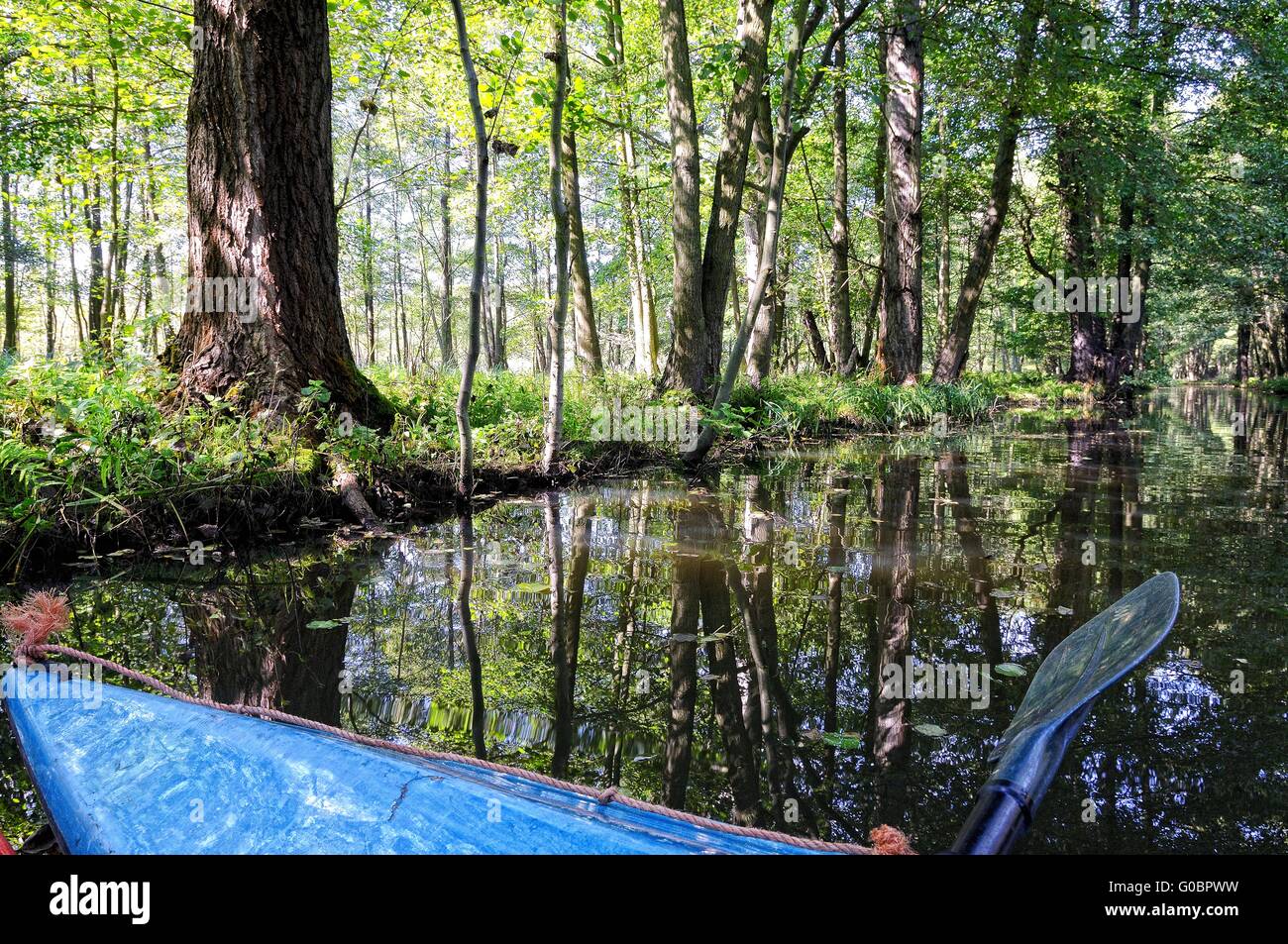 traveling by boat in the Spreewald forest Germany Stock Photo - Alamy