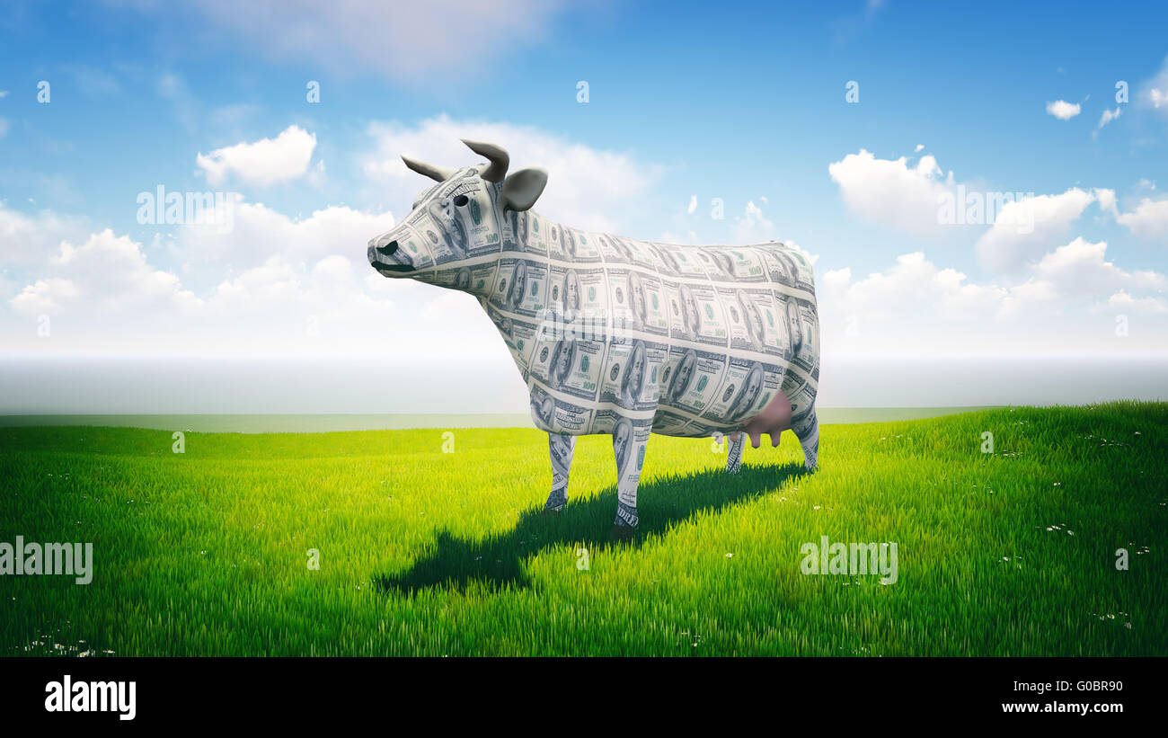 Cash cow at the green grass field Stock Photo - Alamy