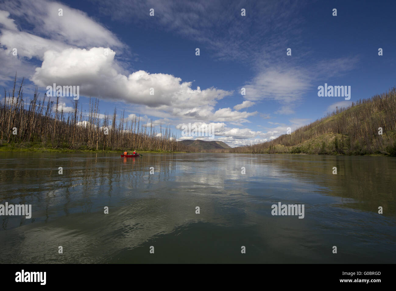 Yukon River - forest fire Stock Photo - Alamy