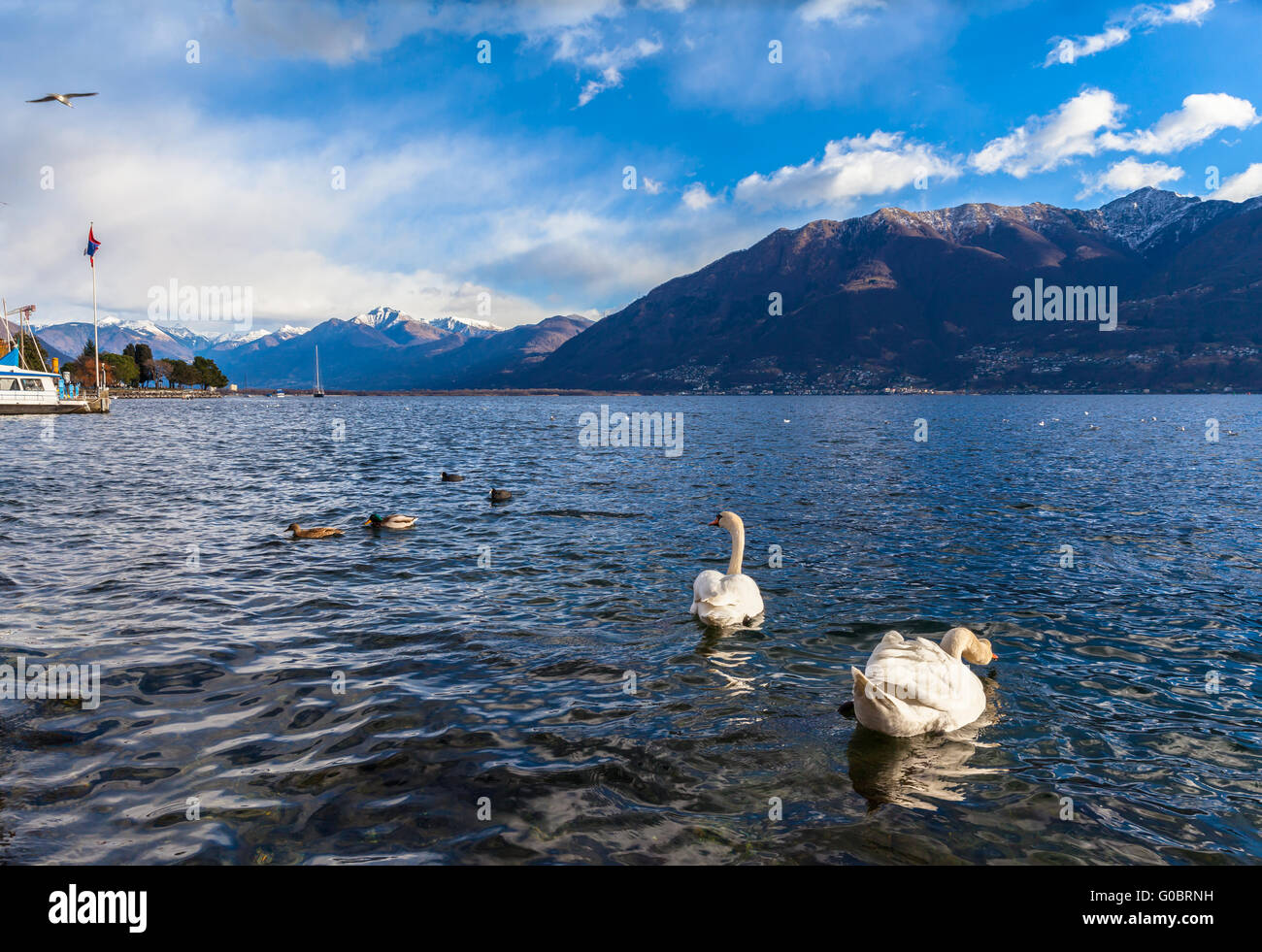 Beautiful view of Maggiore Lake and the Alps from Locarno in Winter ...