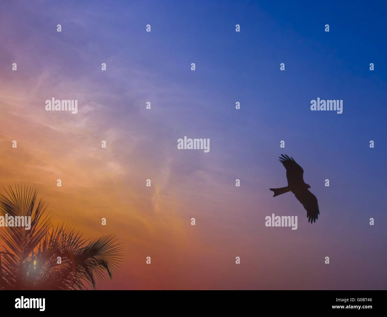 Time to go home hi-res stock photography and images - Alamy