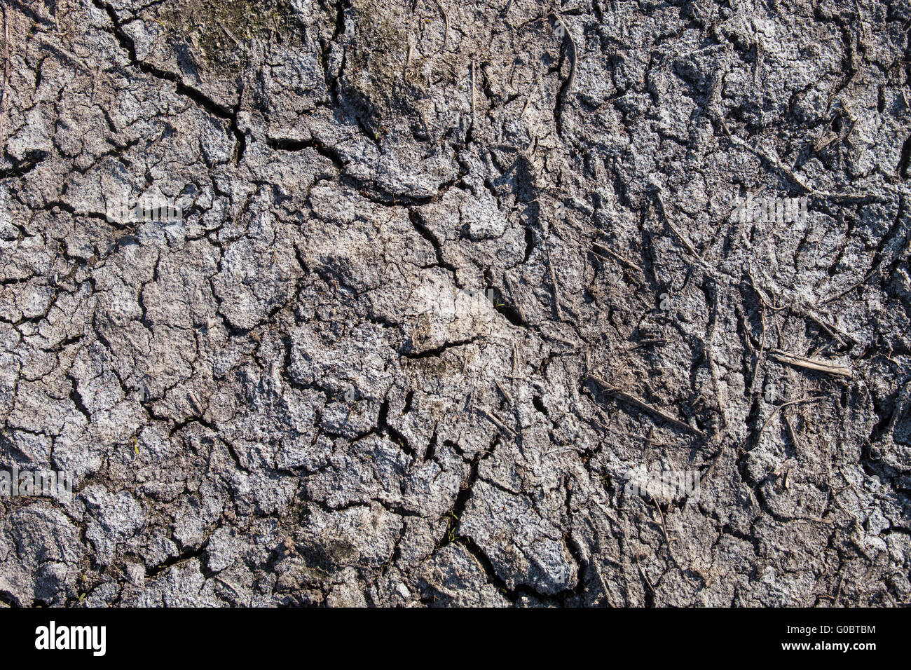 Dried up soil crust hi-res stock photography and images - Alamy