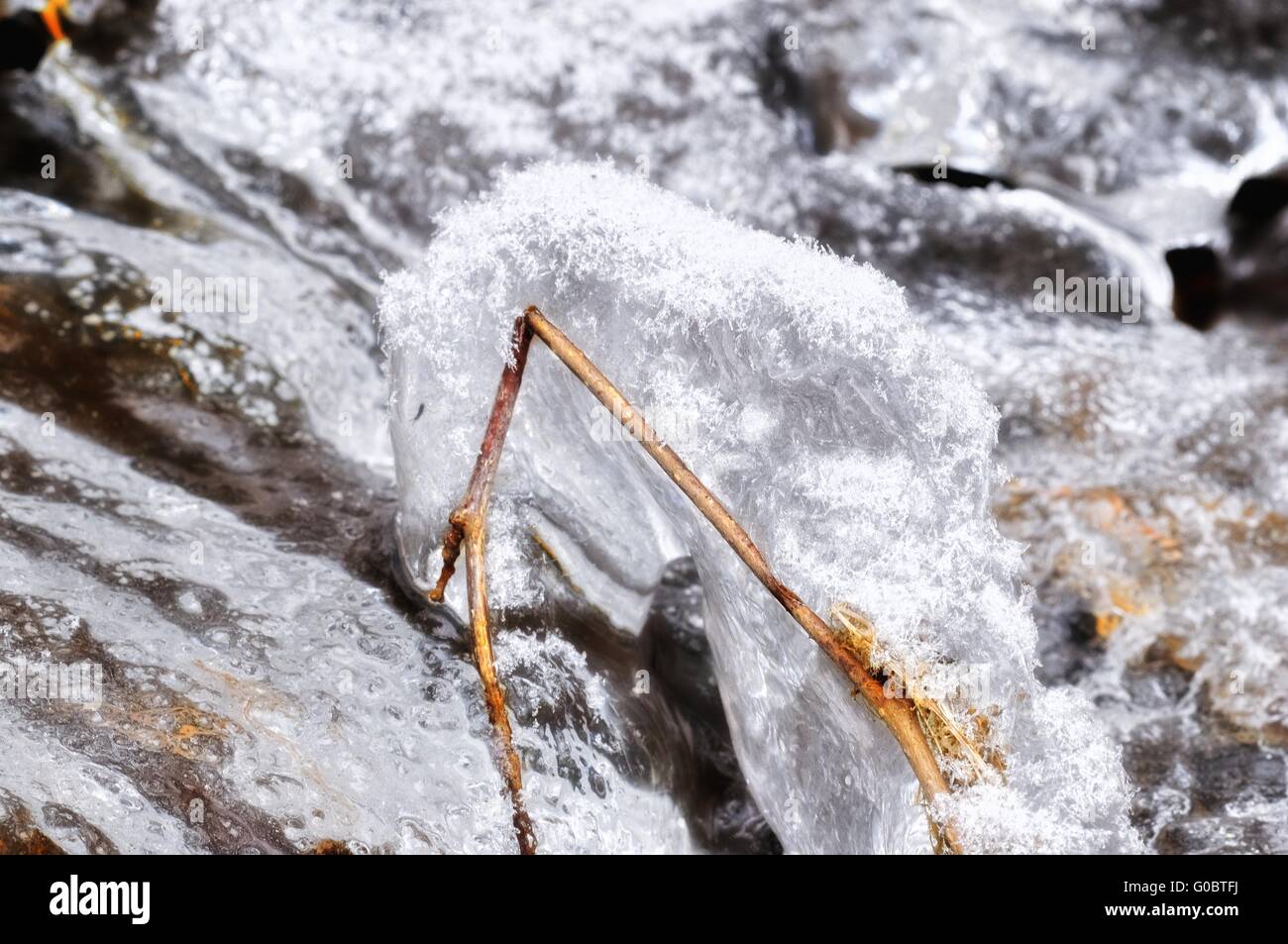 under the weight of ice cold Stock Photo - Alamy