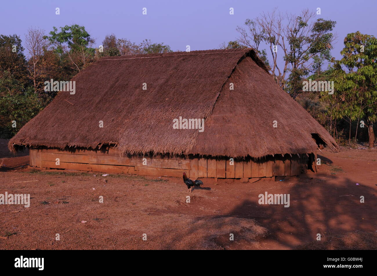 Traditional Bunong house w/ thatched roof, Mondulkiri Province ...